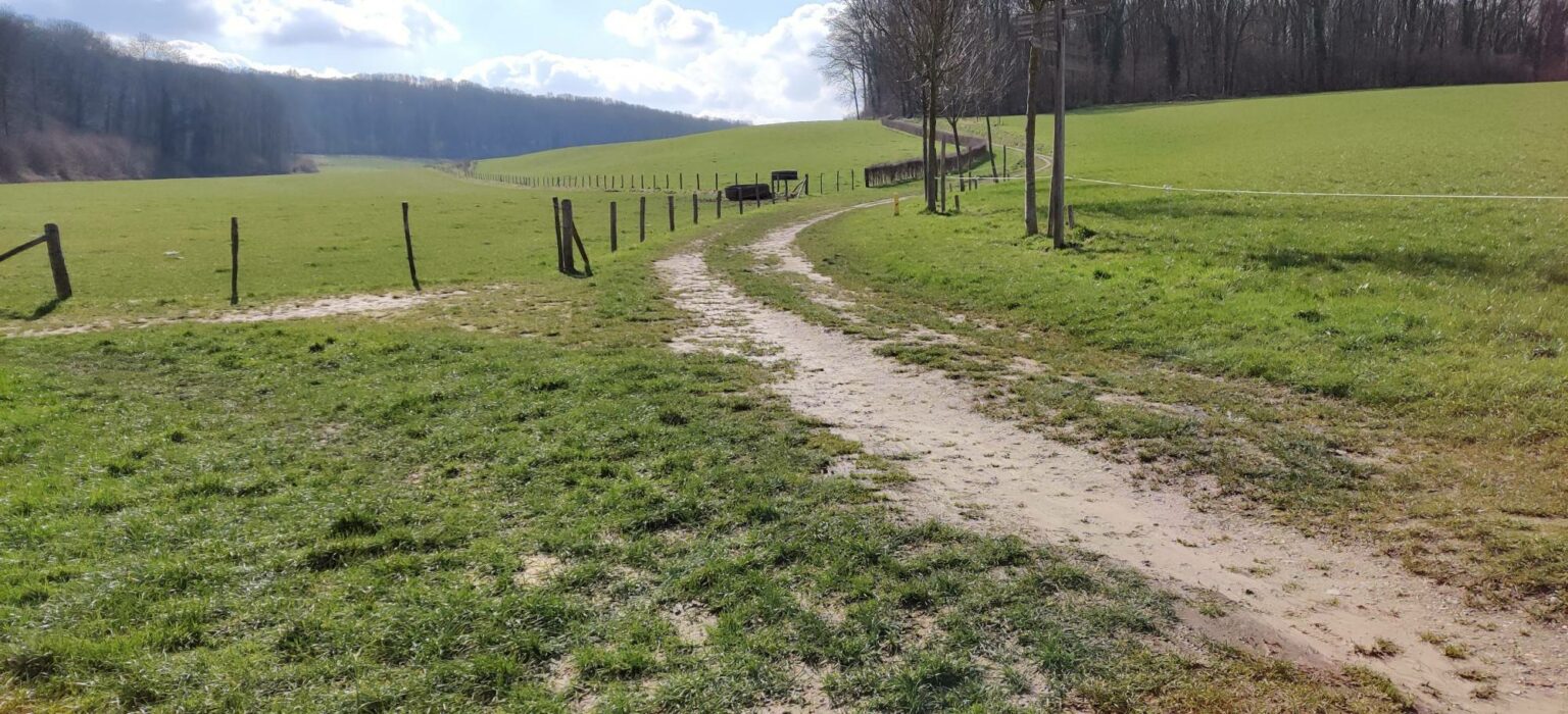 GPX routes – For the love of gravel