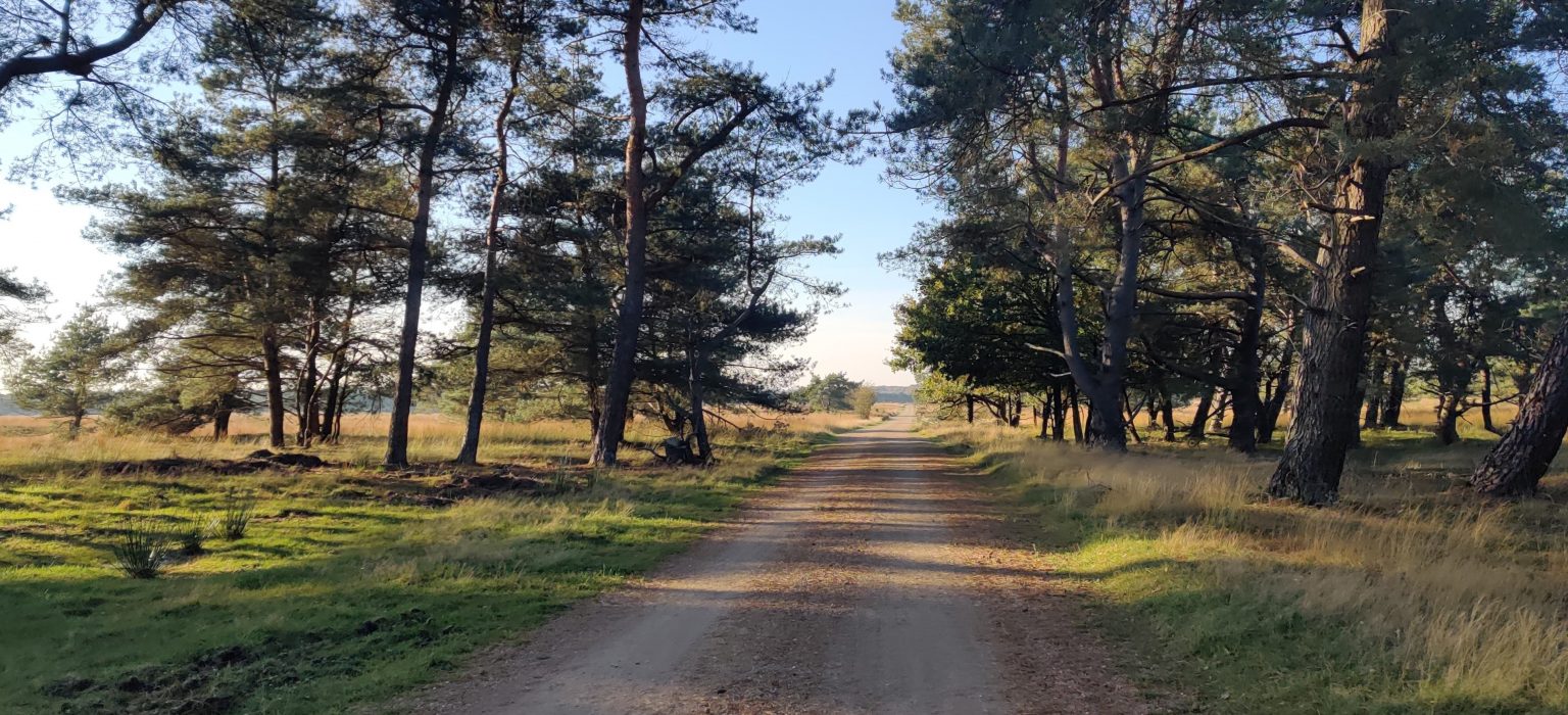 GPX routes – For the love of gravel